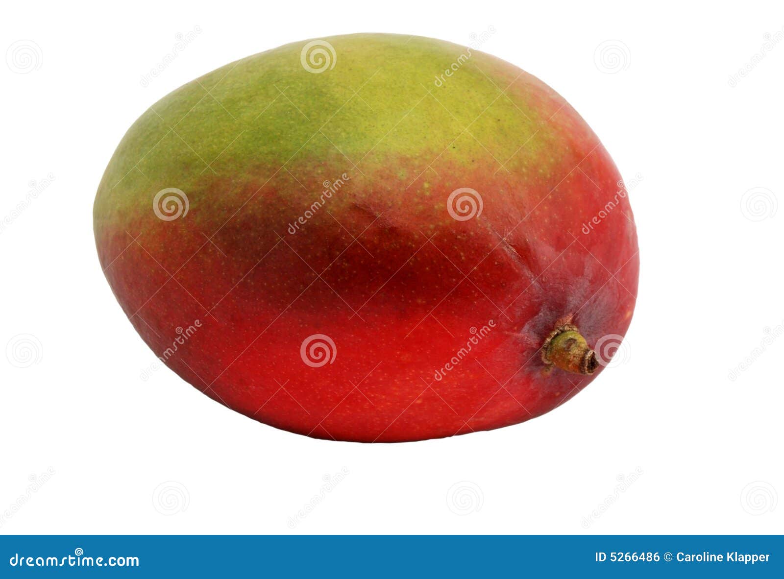 Fruit de mangue photo stock. Image du entier, ouvert, rouge - 5266486