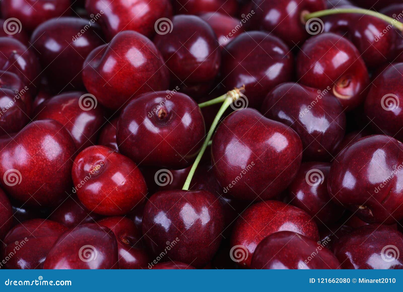 Fruit de merise photo stock. Image du savoureux, cerise - 121662080