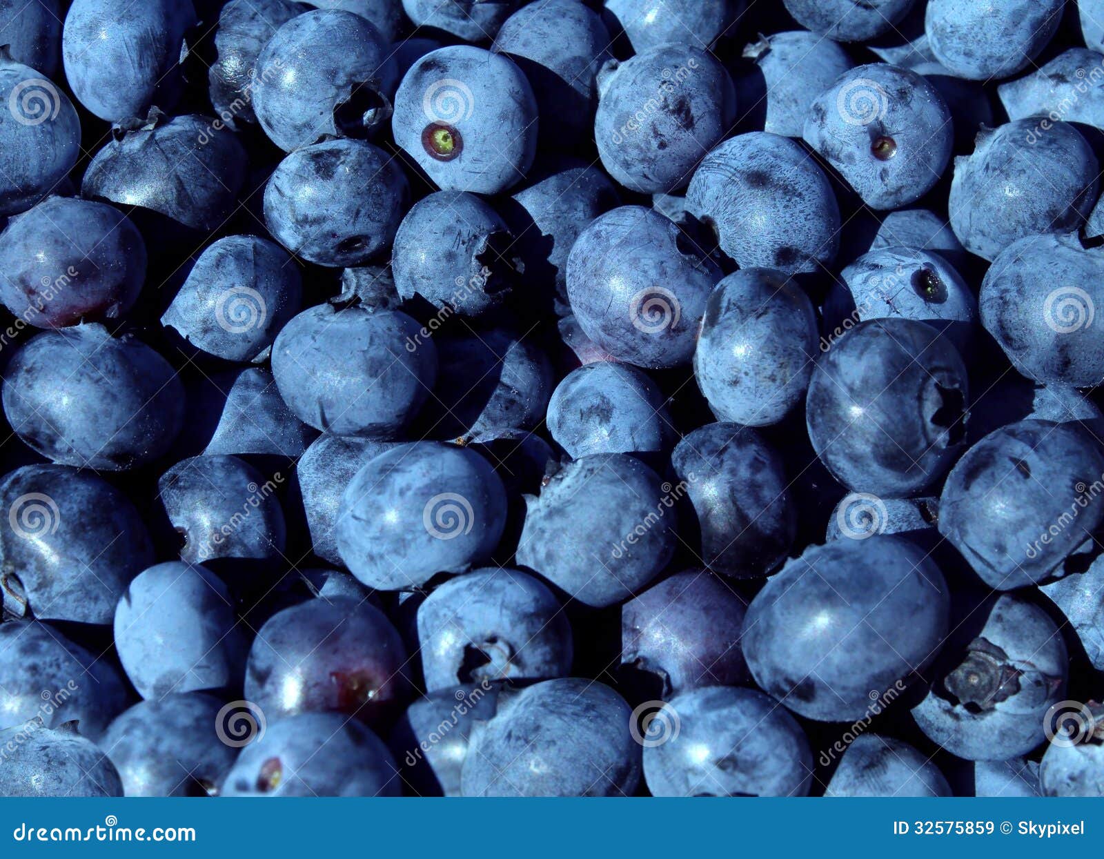 Fruit de myrtilles image stock. Image du nature, ferme - 32575859