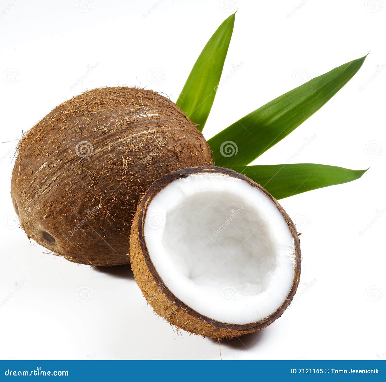Fruit de noix de coco image stock. Image du vivacité, fermer - 7121165
