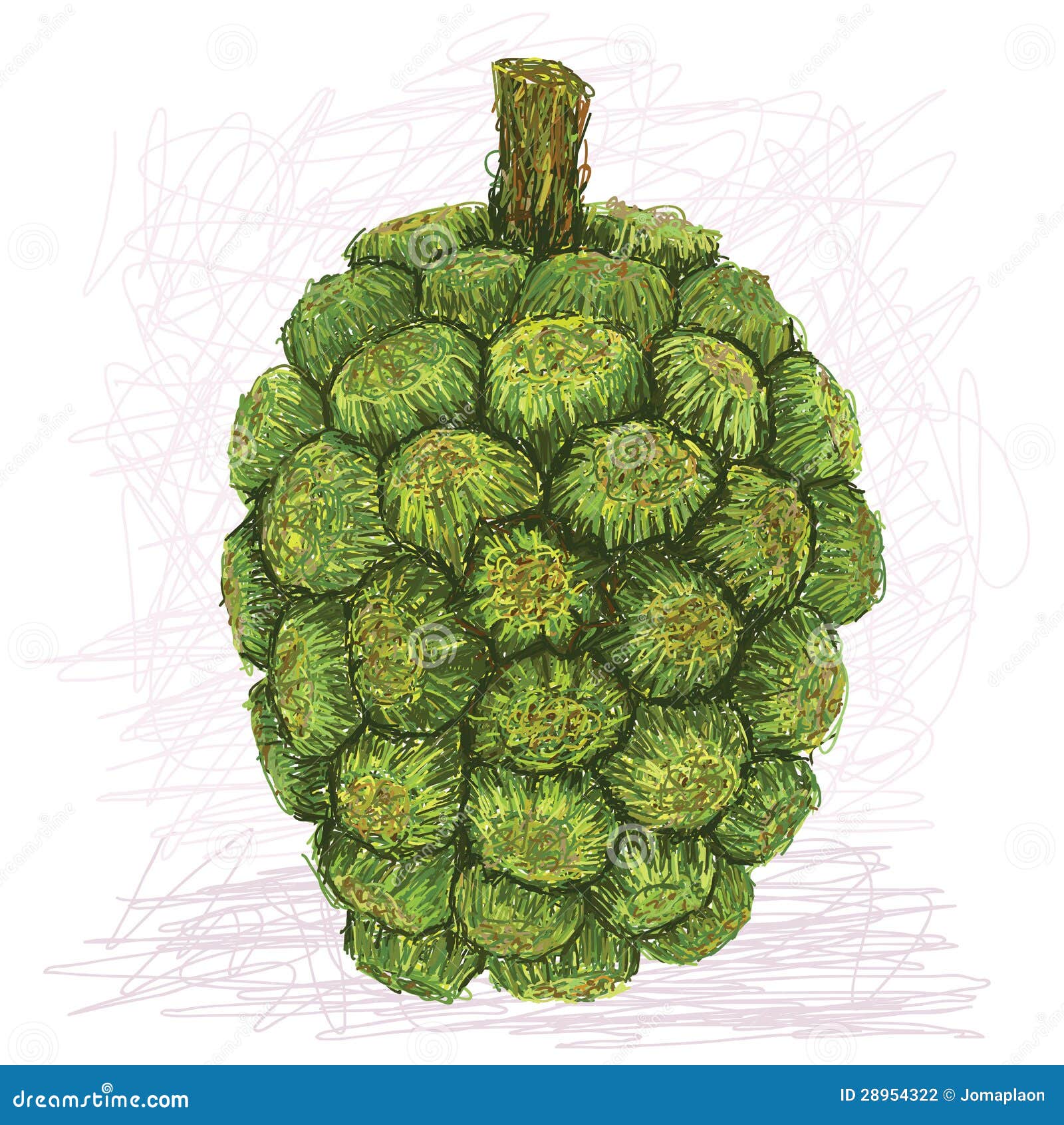 Fruit de Pandanus illustration stock. Illustration du nourriture - 28954322