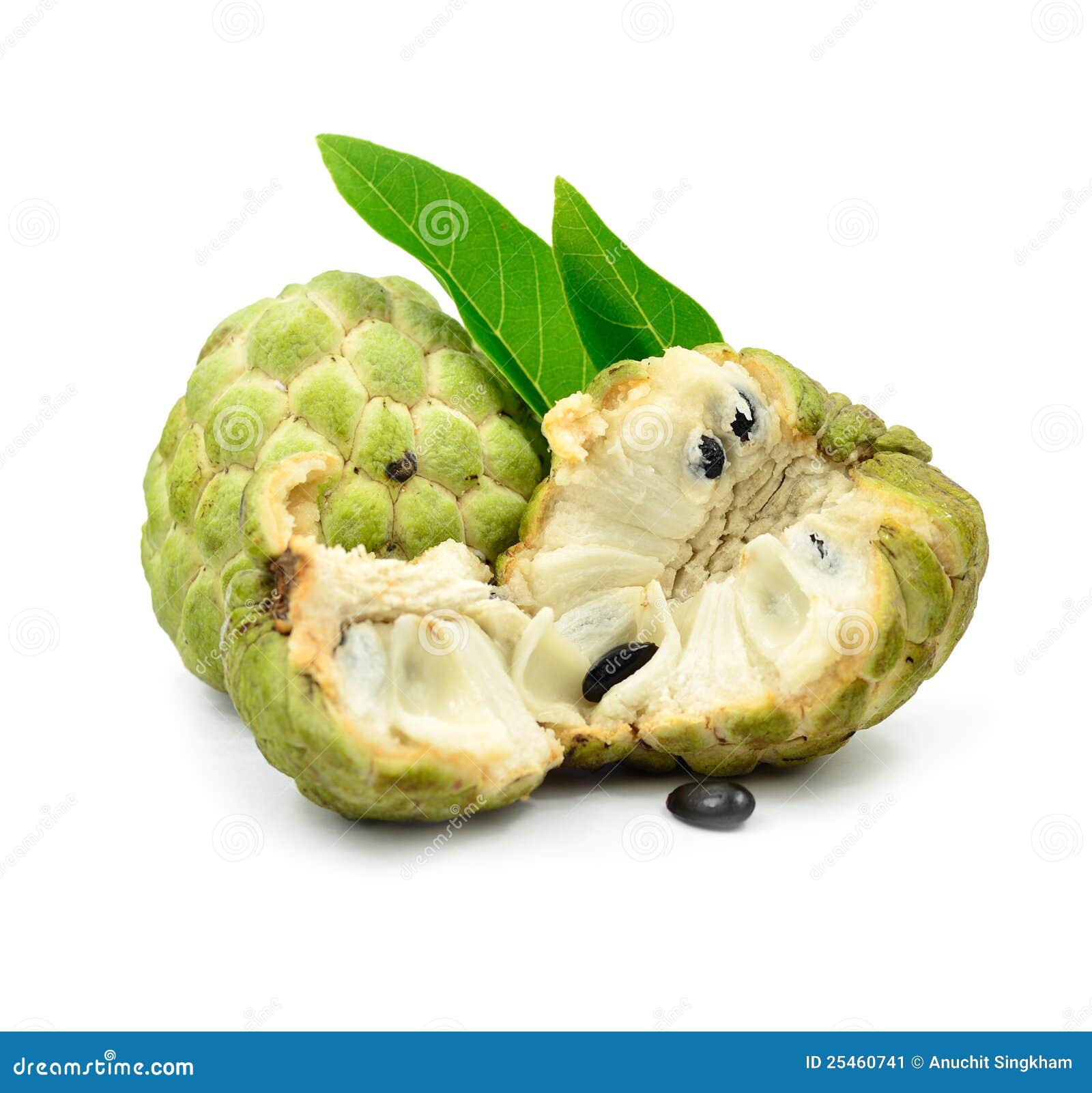 Fruit de pomme cannelle image stock. Image du mûr, agriculture - 25460741