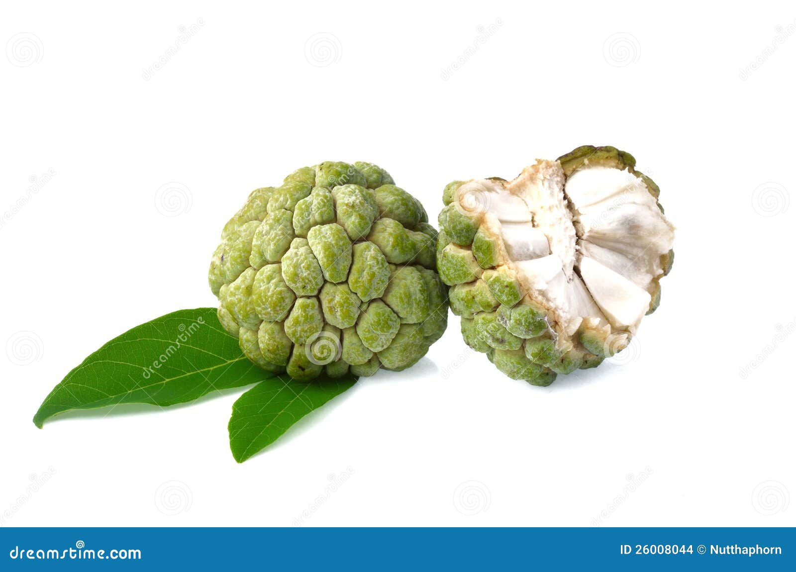 Fruit de pomme cannelle photo stock. Image du agriculture - 26008044