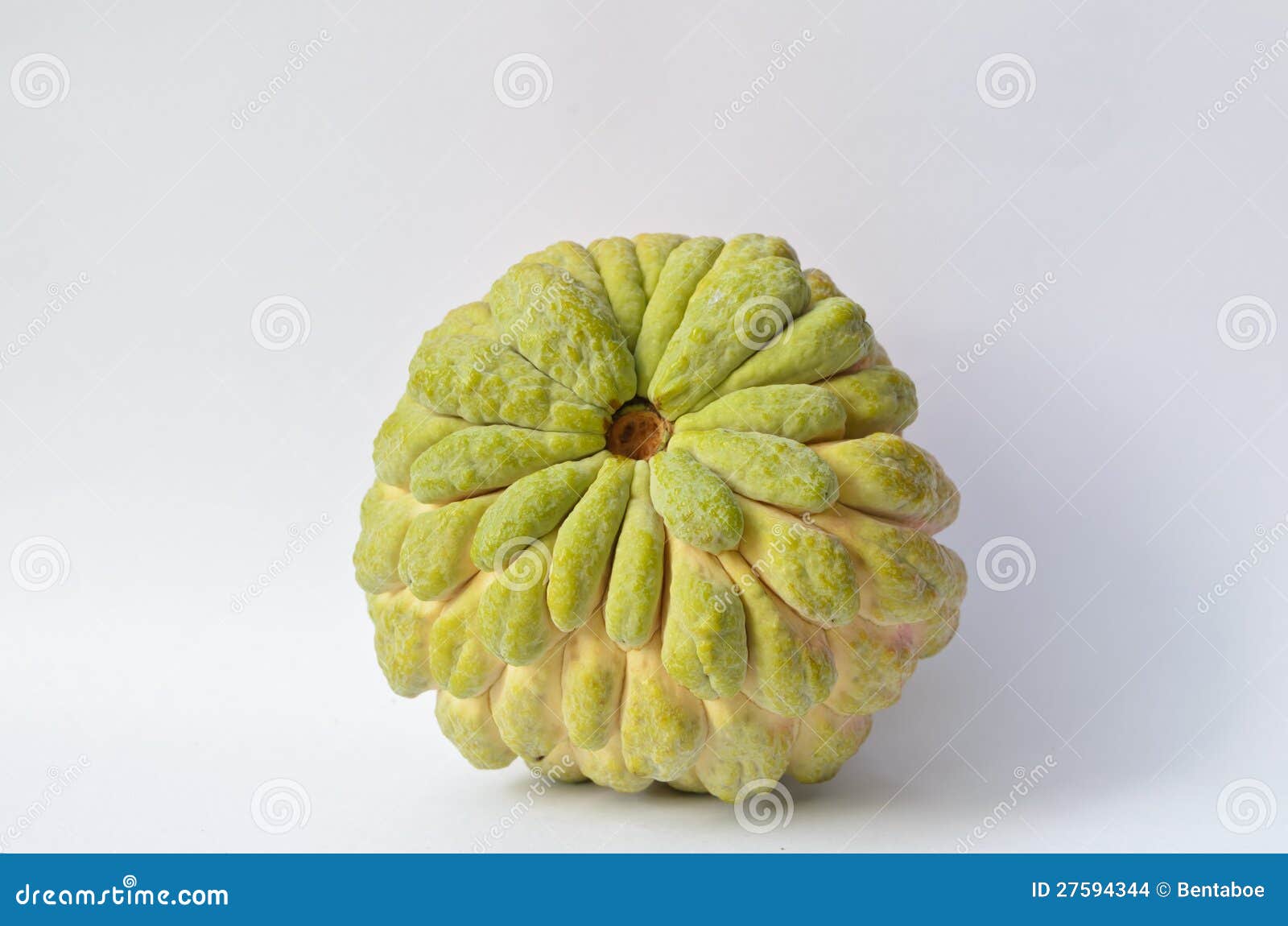 Fruit de pomme cannelle photo stock. Image du vivacité - 27594344