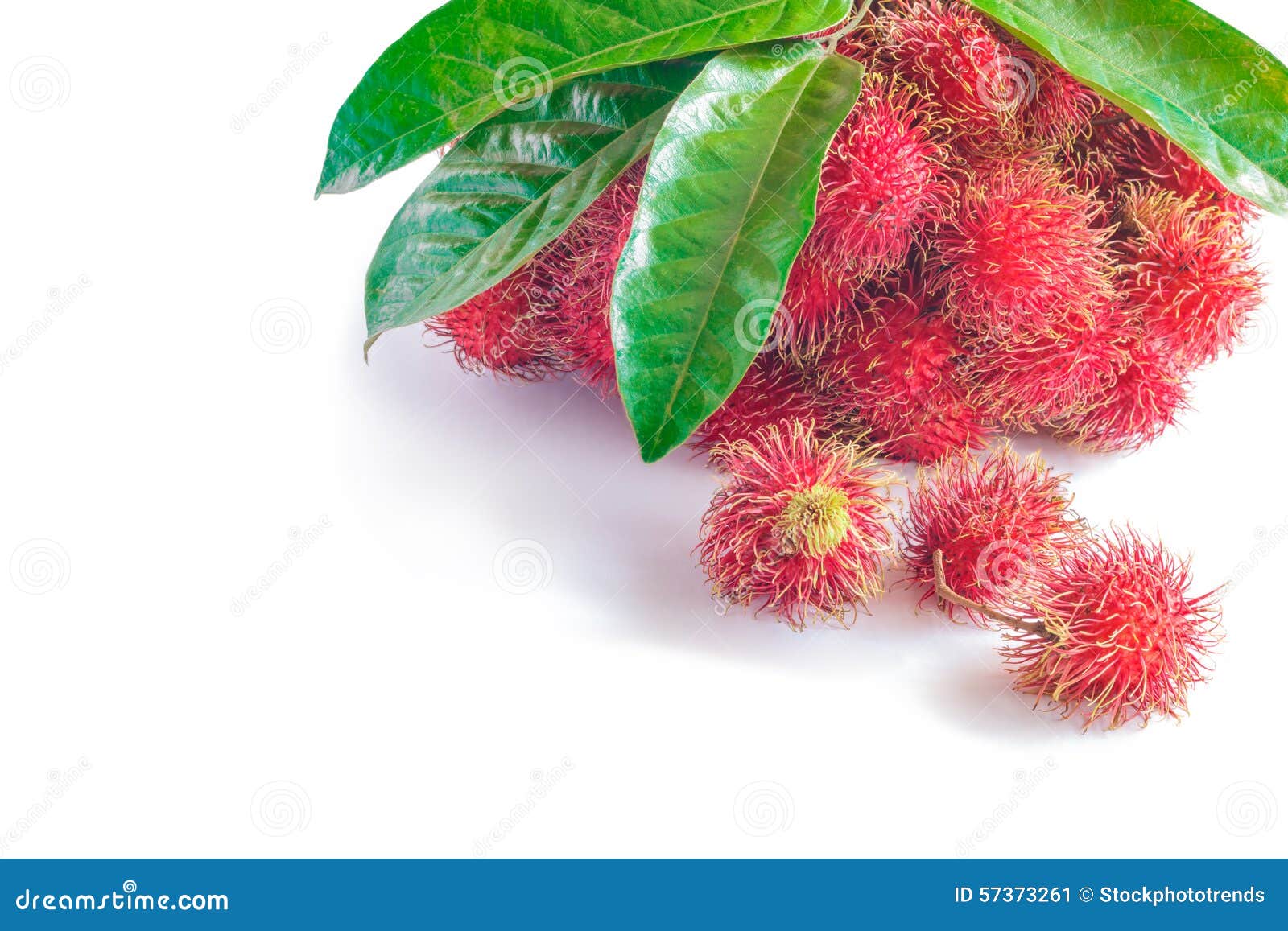 Fruit De Ramboutans Avec La Feuille Image stock - Image du fond ...