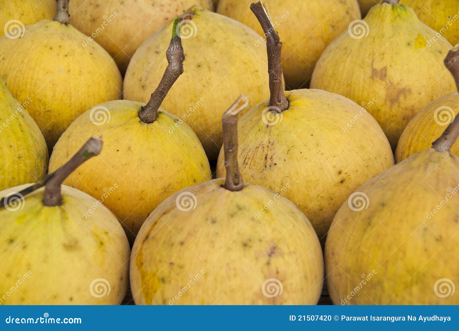 Fruit De Santol Le Mangoustan Sauvage Photo stock - Image du nourriture ...