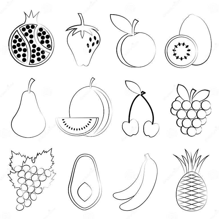 Fruit drawing stock vector. Illustration of vegetarian - 18697280