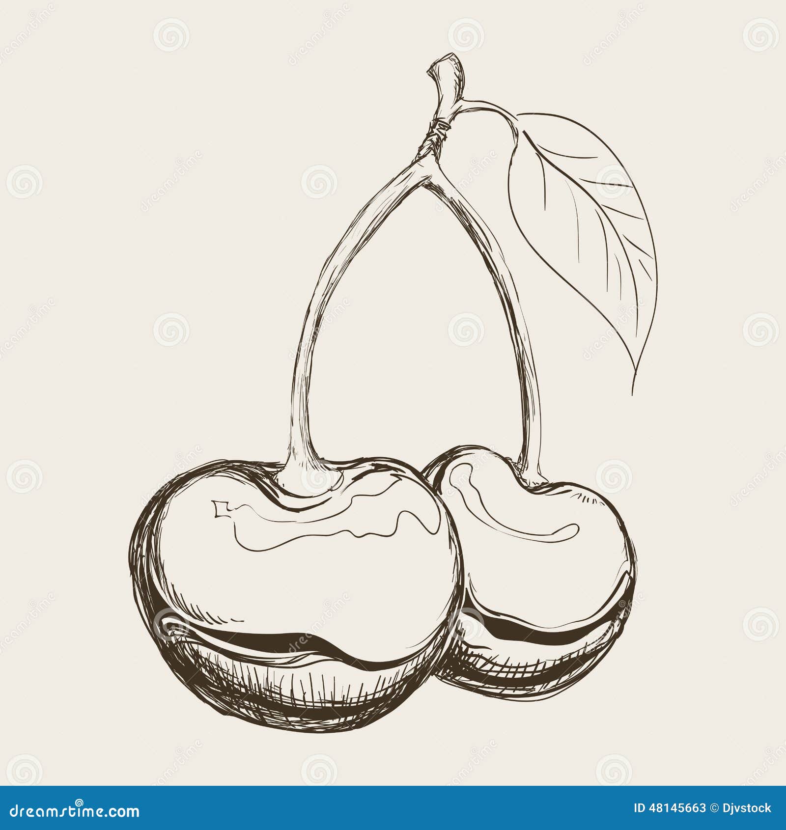 Fruit drawn design stock vector. Illustration of drawing - 48145663