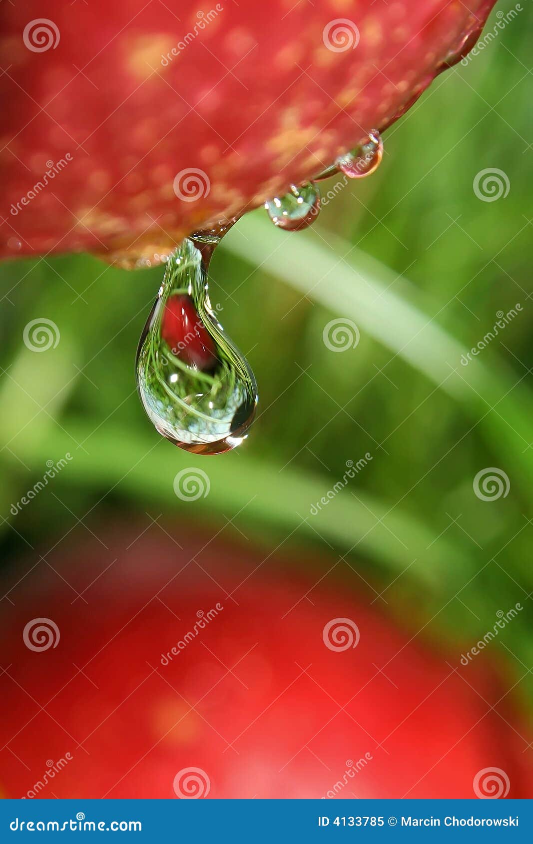 Fruit drop. stock image. Image of spot, sphere, color - 4133785