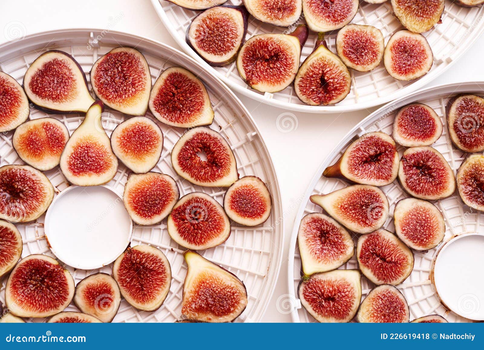 Fruit Drying Process on Dehydrator. Top View Stock Photo - Image of ...
