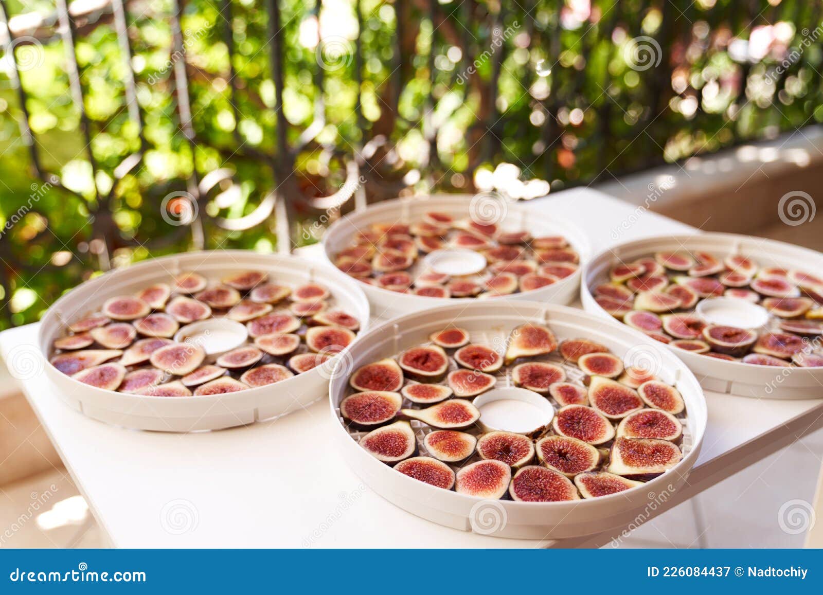 Fruit Drying Process on White Dehydrator Plates on Balcony Stock Image ...
