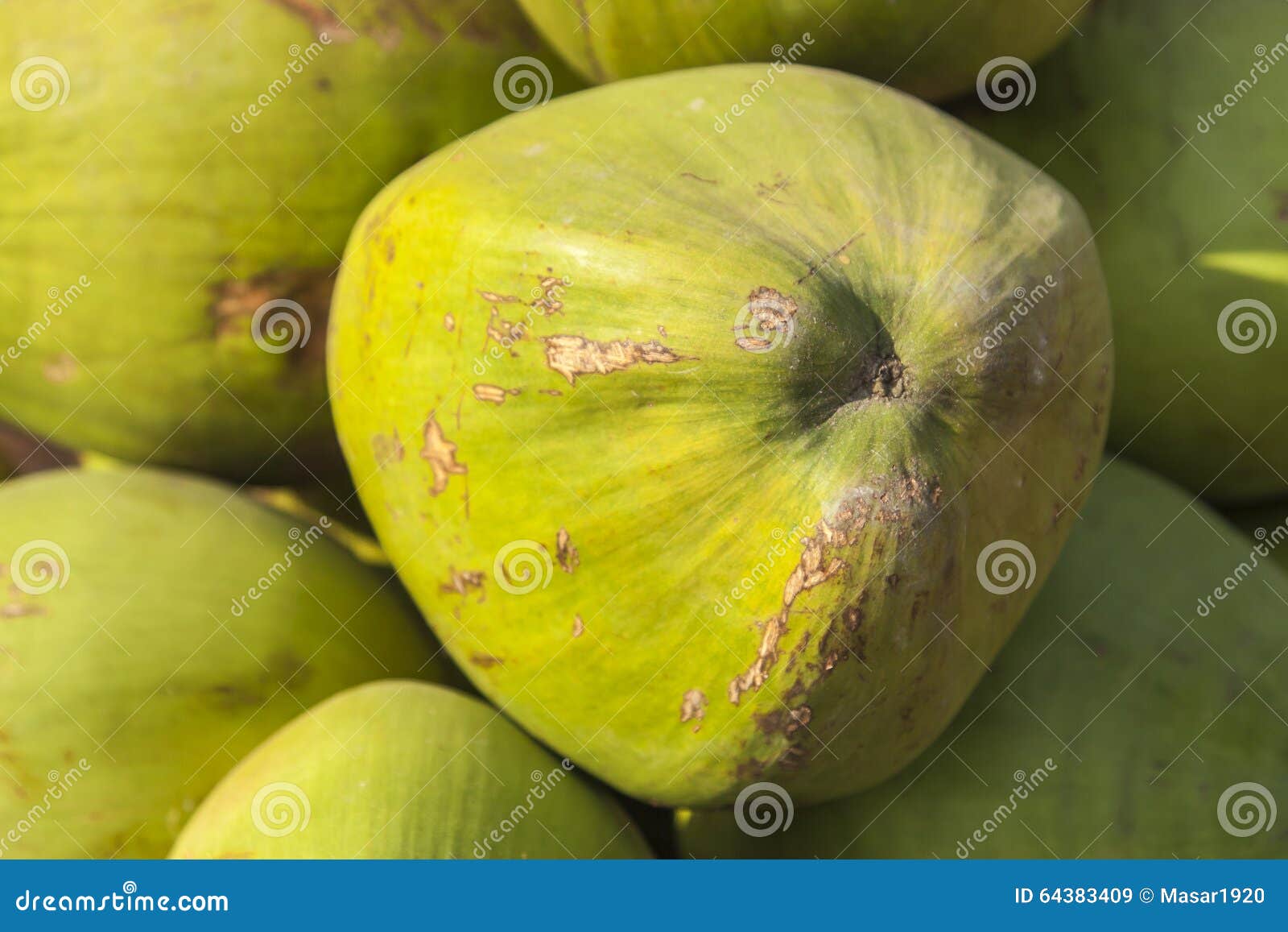 Fruit du cocotier image stock. Image du coconut, maïs - 64383409