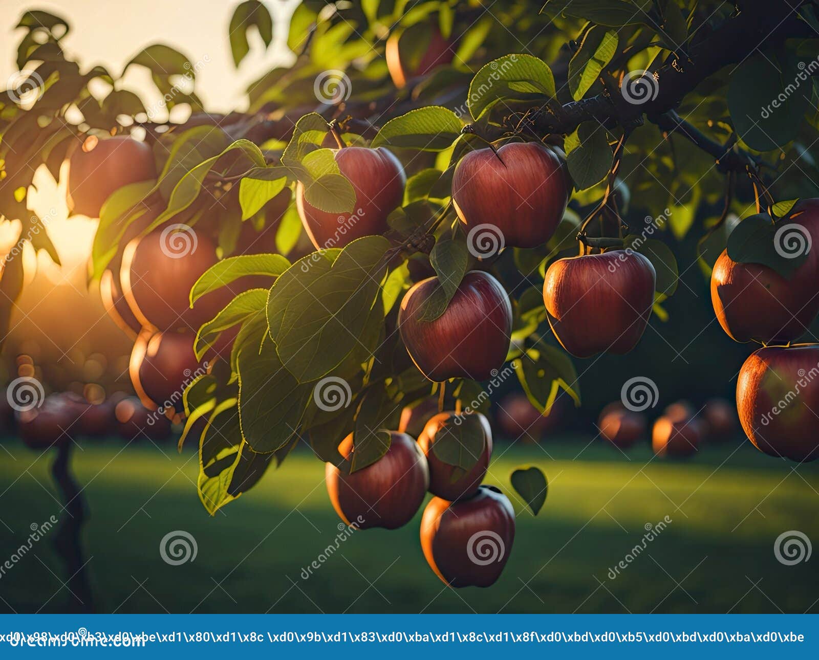 Fruit Farm with Apple Trees Close Up. Ai Generative Stock Illustration ...