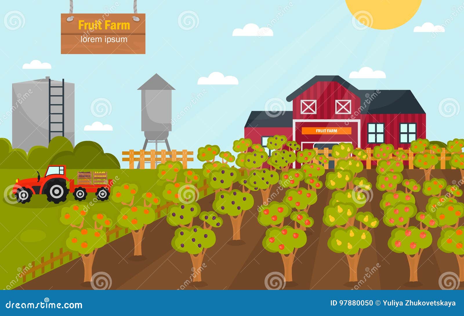 Fruit Farm Color Banner for Web and Mobile Design Stock Illustration ...