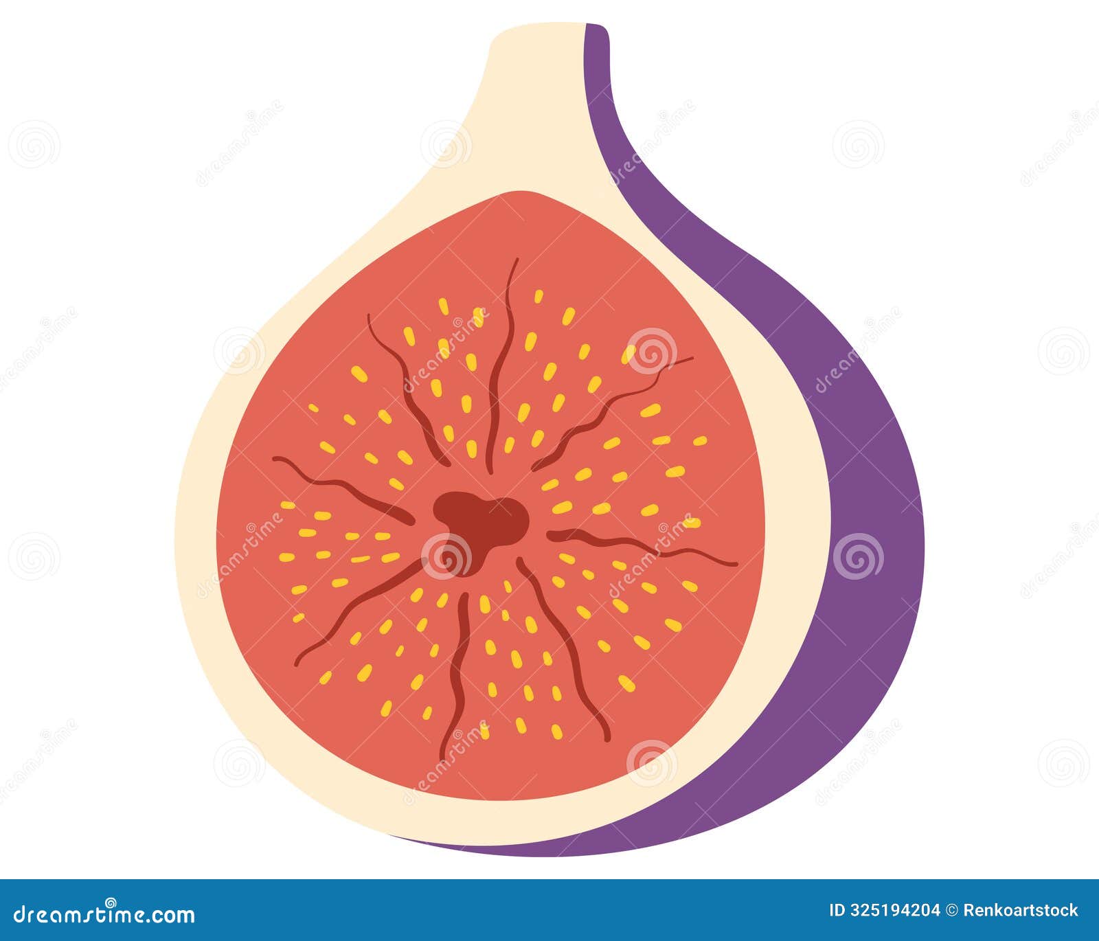 Fruit Fig in Cartoon Hand Drawn Simple Style. Editable Variable Color ...