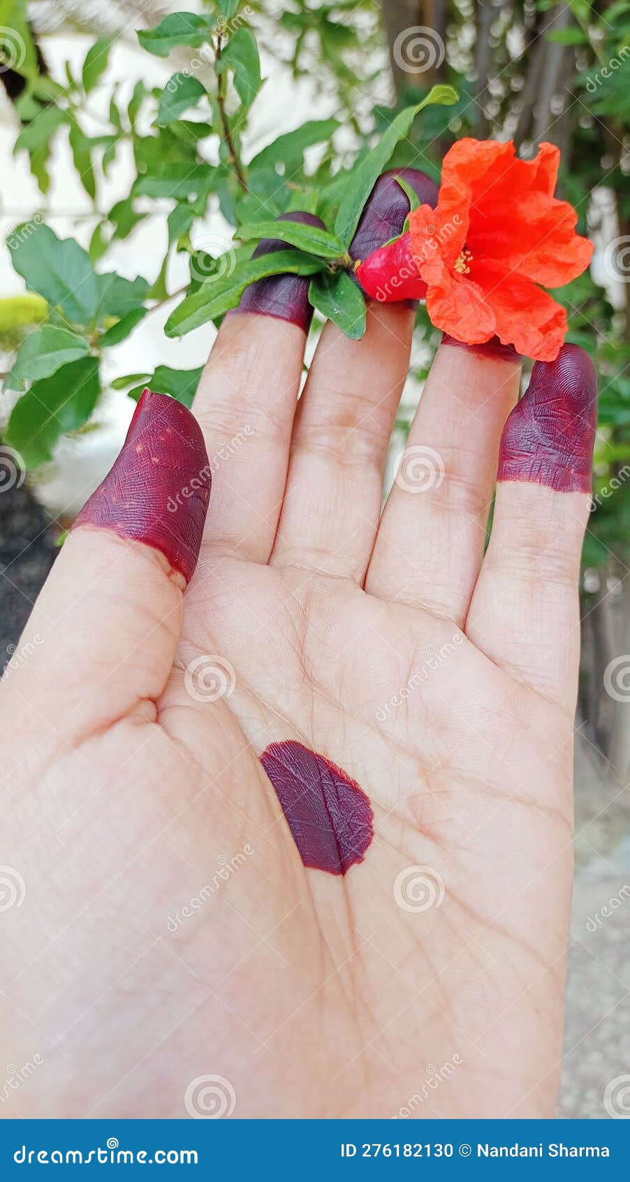 Fruit Flower Catch by Mehandi Hand Stock Photo - Image of hand, flower ...