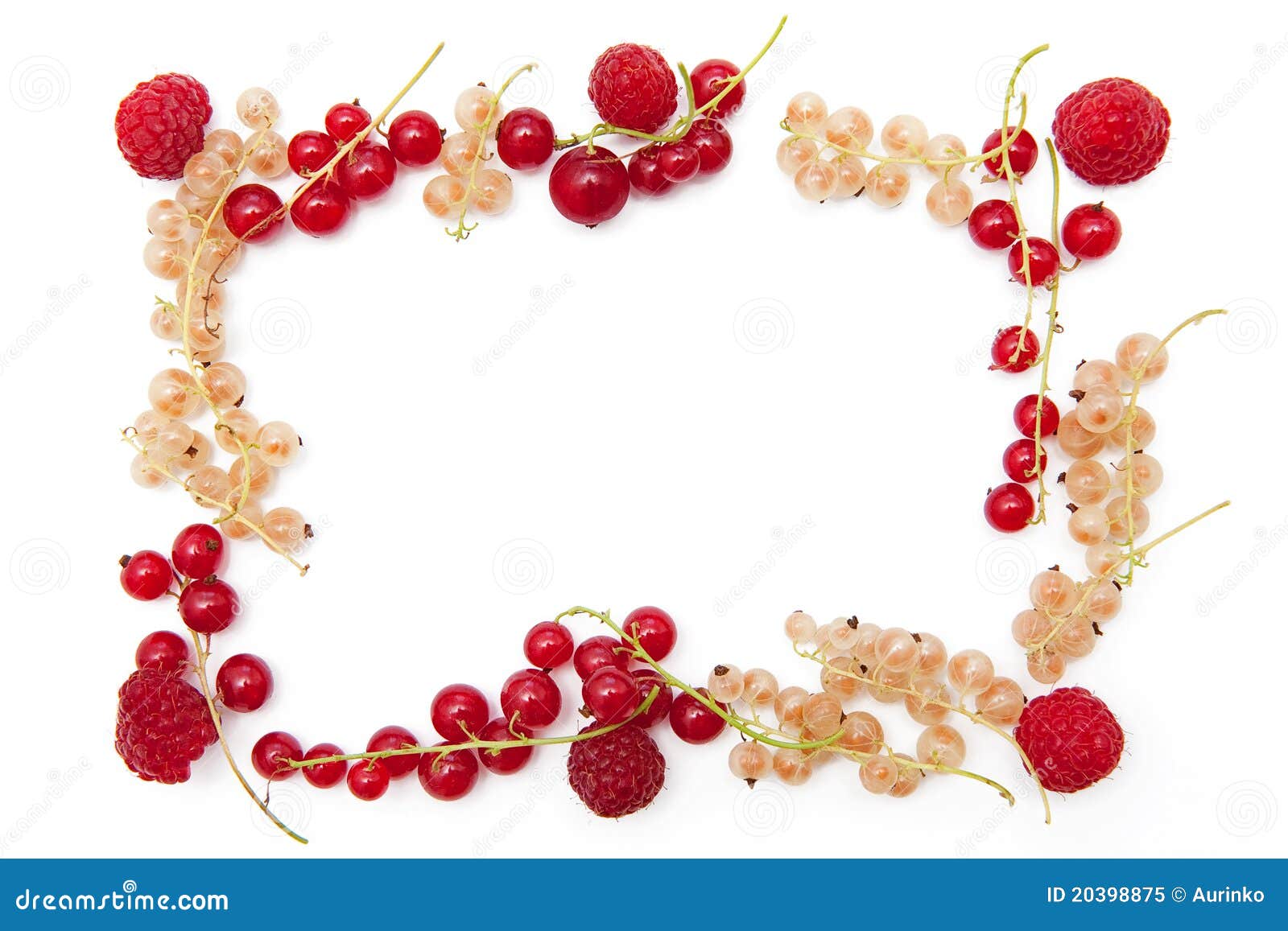 Fruit Frame Royalty-Free Stock Photography | CartoonDealer.com #17505911