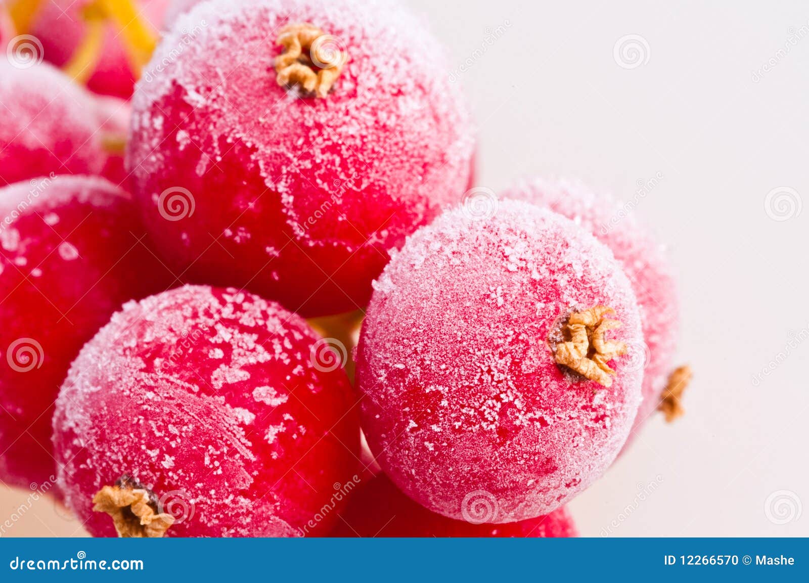 Fruit frozen in ice stock photo. Image of currant, highspeed - 12266570