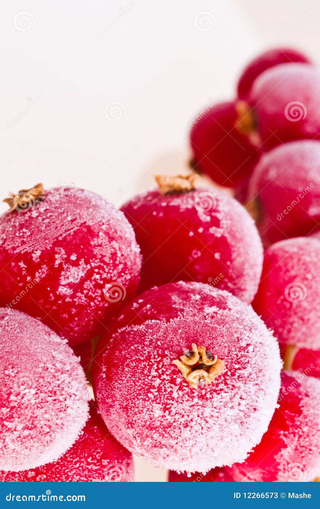 Fruit frozen in ice stock image. Image of life, blend - 12266573