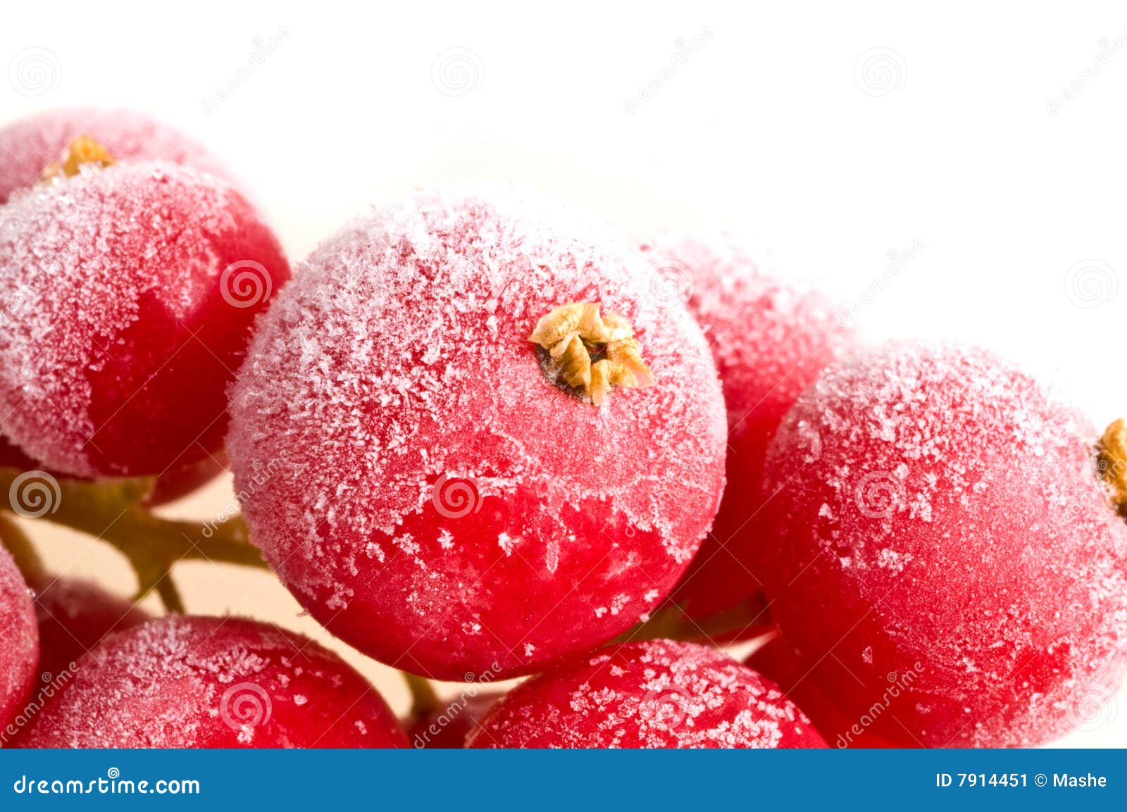 Fruit frozen in ice stock image. Image of clubbing, cosmopolitan - 7914451