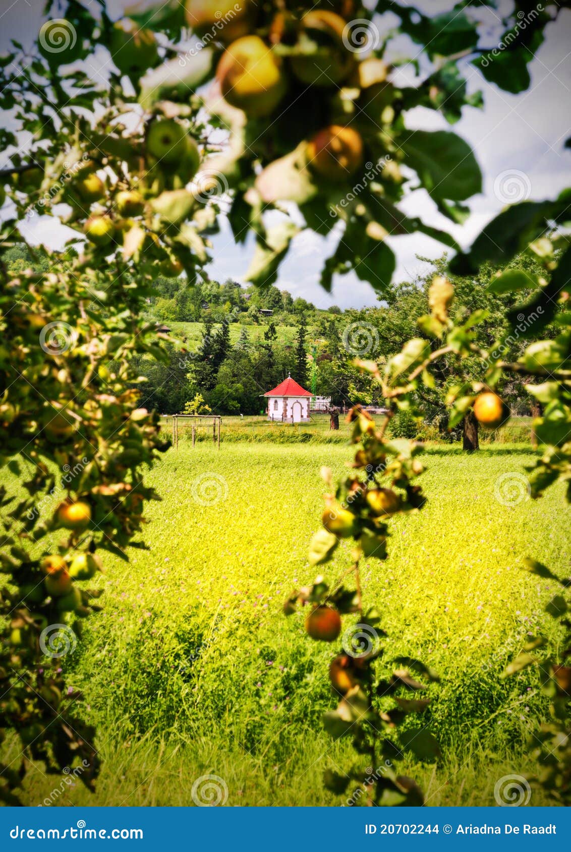Fruit Garden with Country Side View Stock Photo - Image of agriculture ...