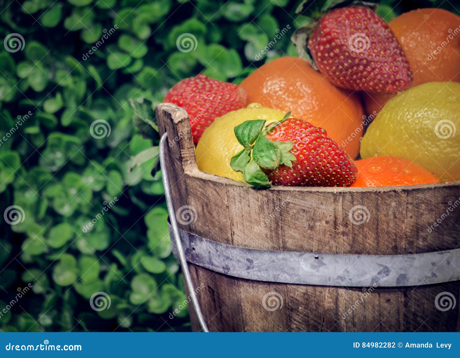 Fruit Gathered in a Rustic Wooden Bucket Stock Photo - Image of natural ...