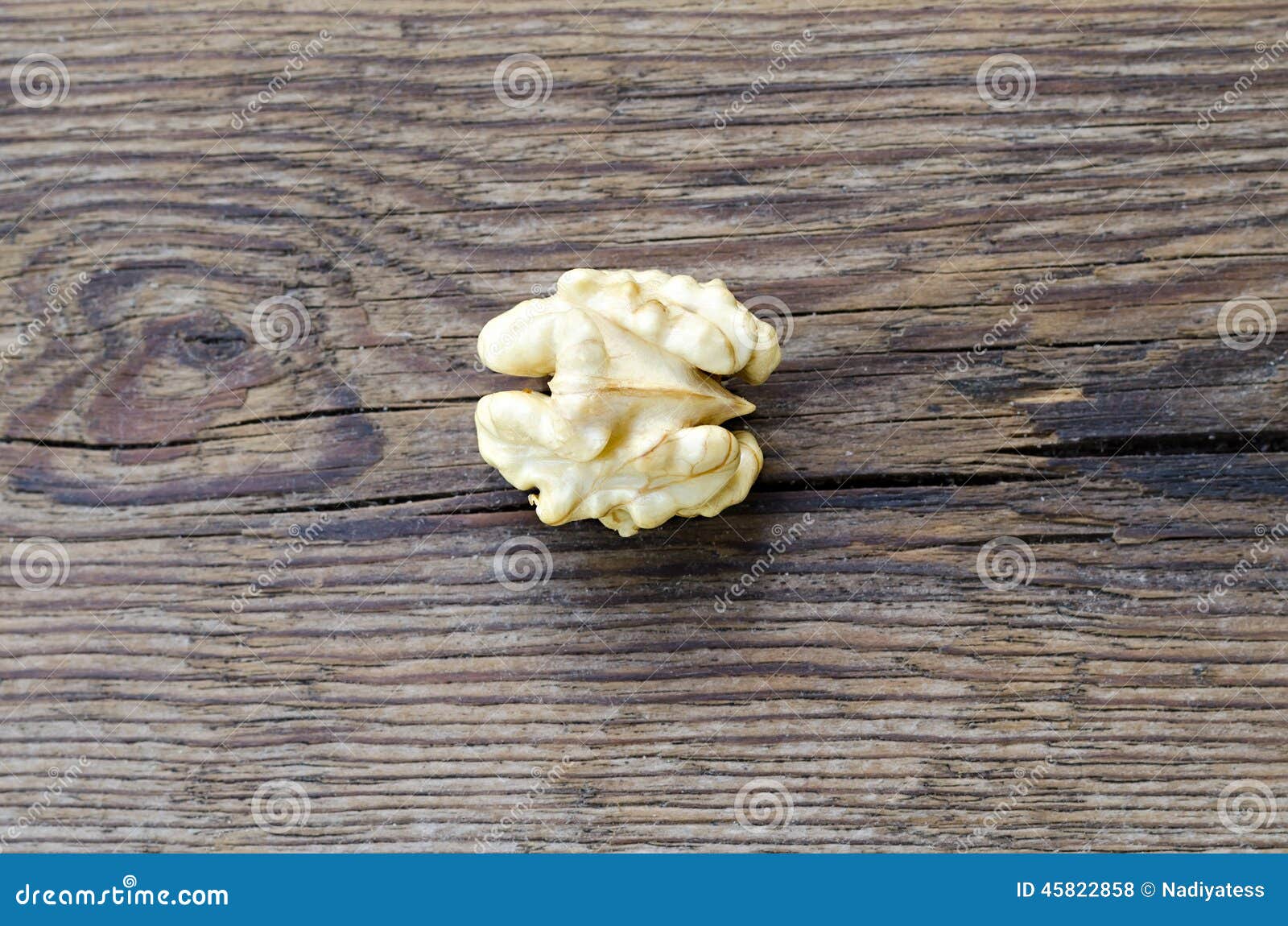 Fruit of the Greek nut stock photo. Image of cracked - 45822858