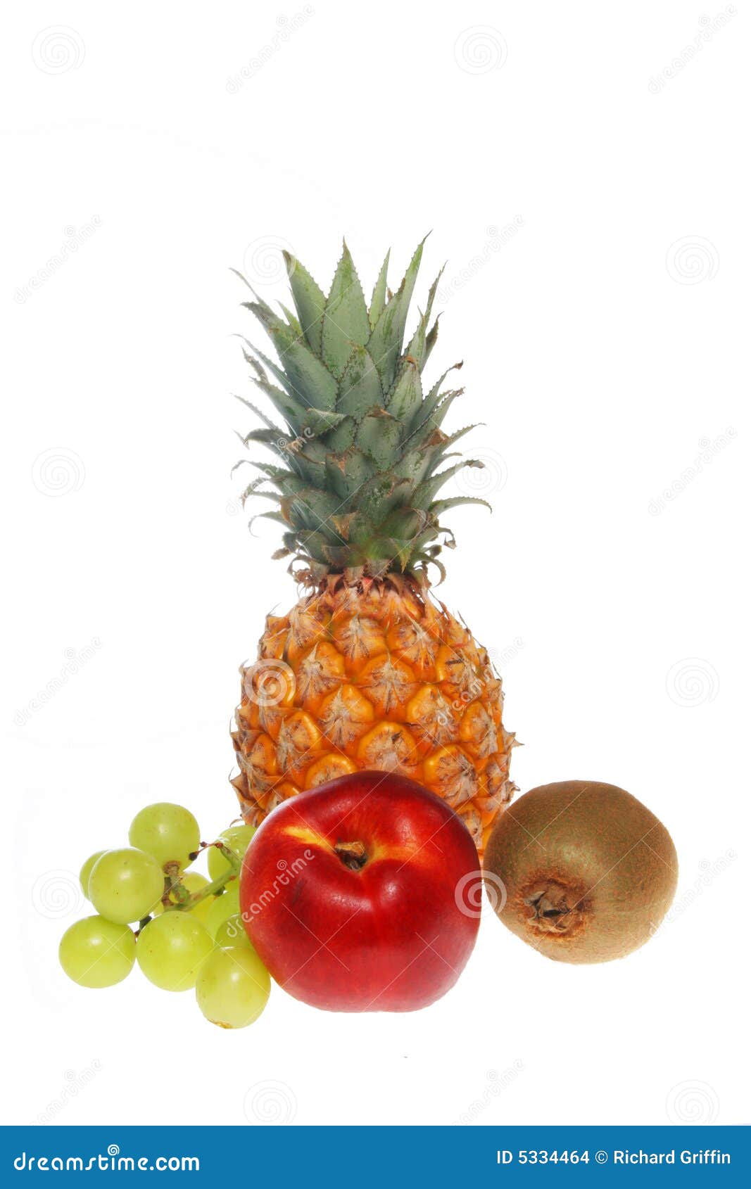 Fruit Group Picture. Image: 5334464