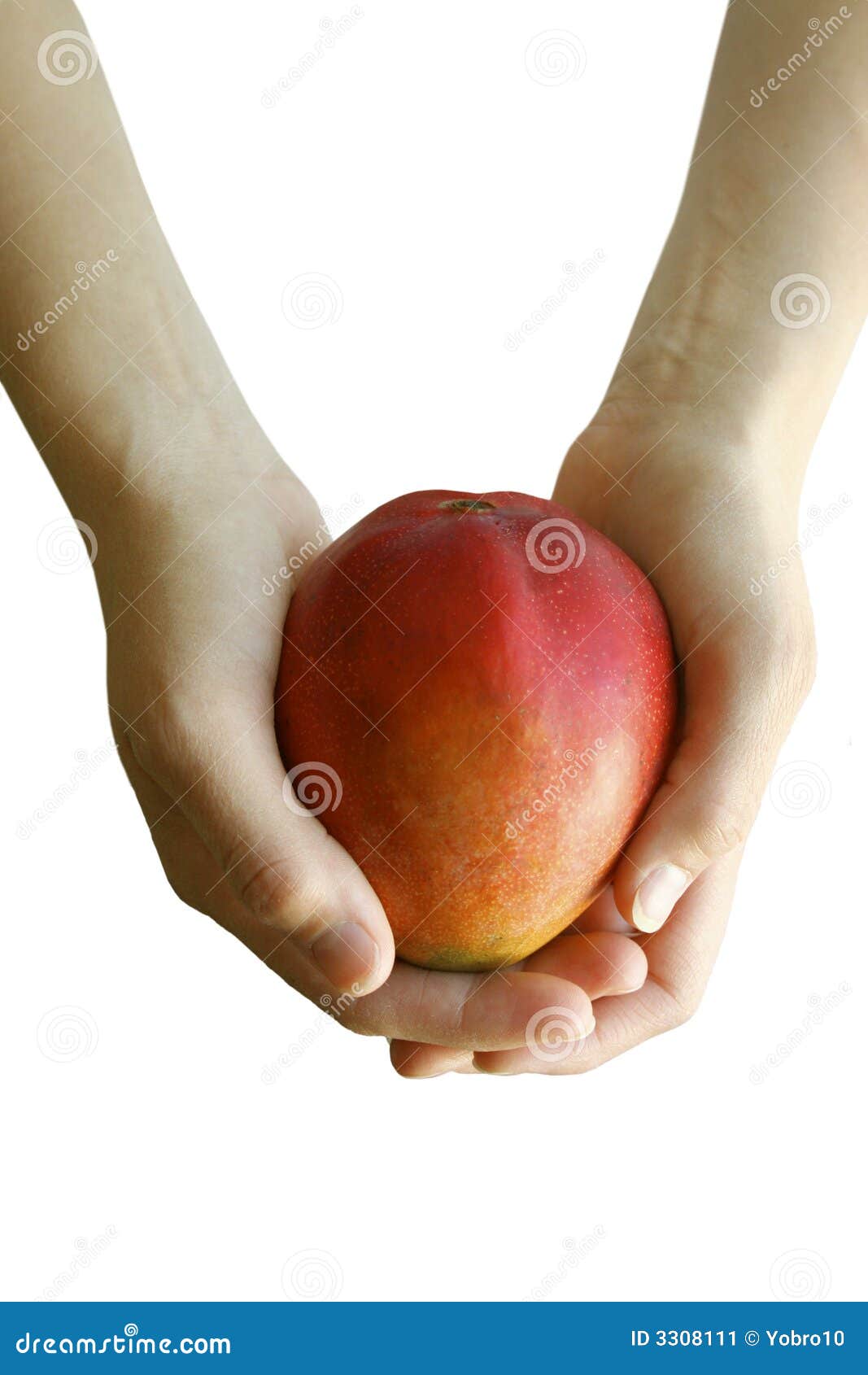 Fruit in Hand stock image. Image of food, beauty, hand - 3308111