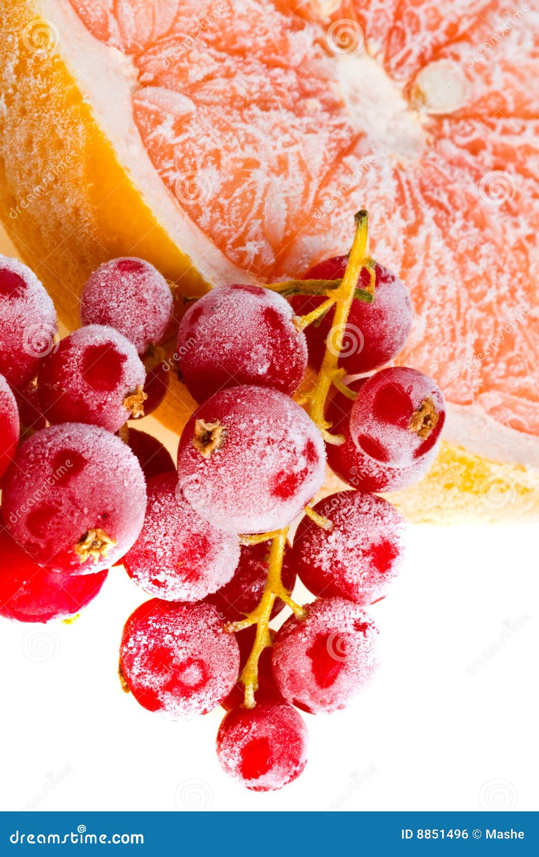 Fruit in ice. stock photo. Image of blend, drop, citrus - 8851496