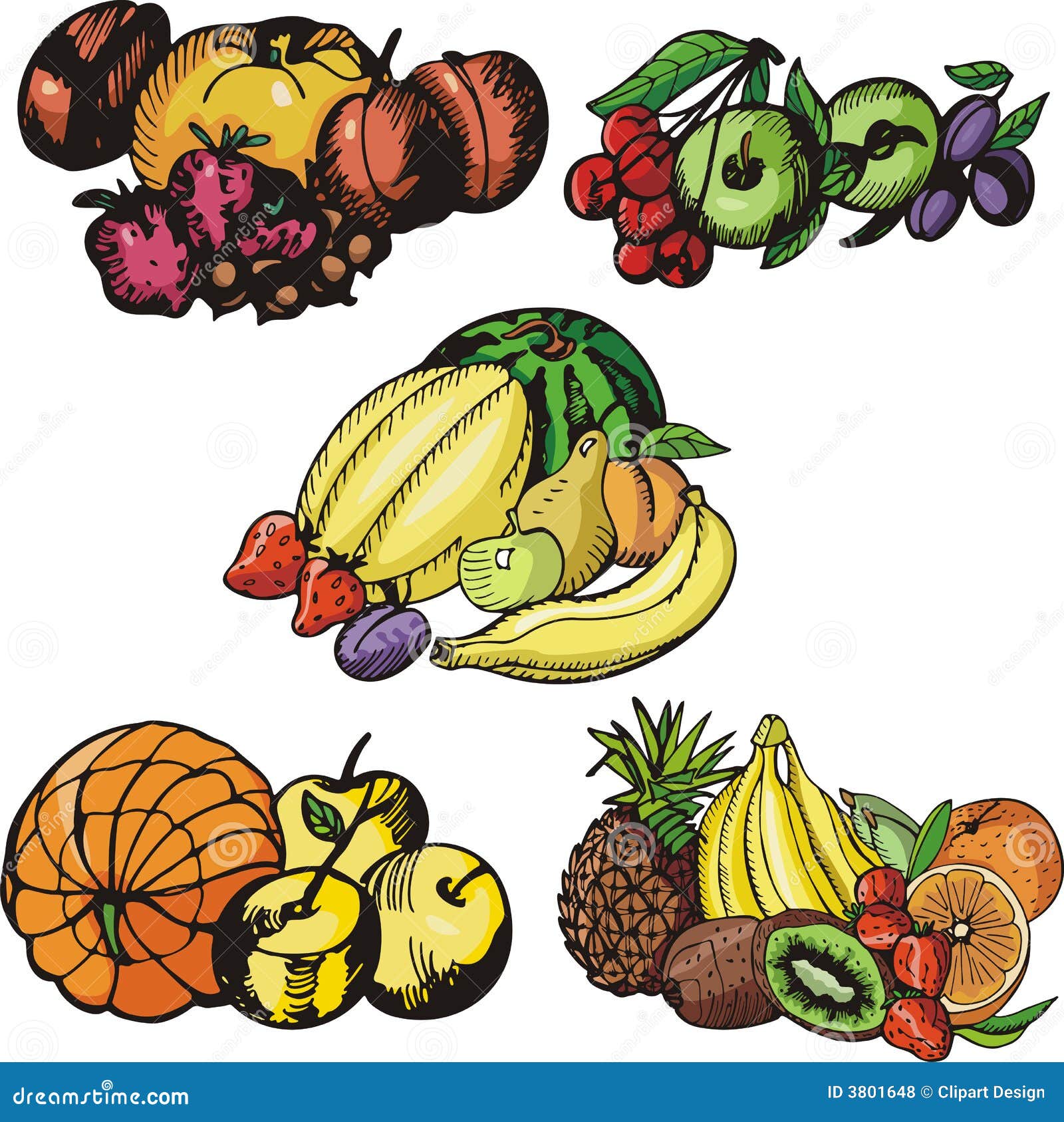 Fruit illustration series stock vector. Illustration of citrus - 3801648