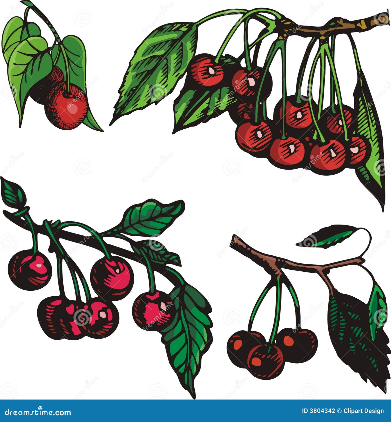 Fruit illustration series stock vector. Illustration of color - 3804342