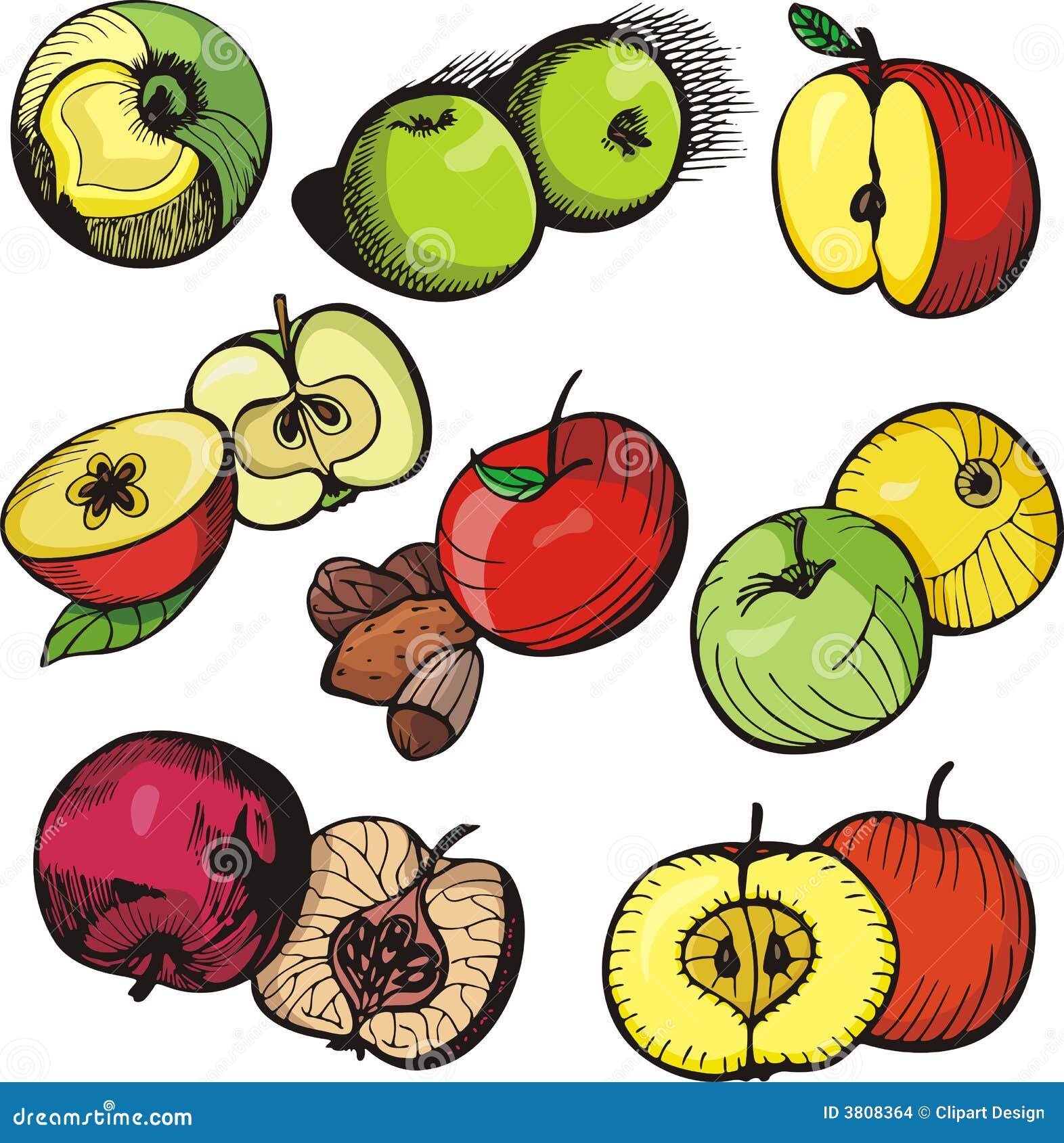 Fruit illustration series stock vector. Illustration of natural - 3808364