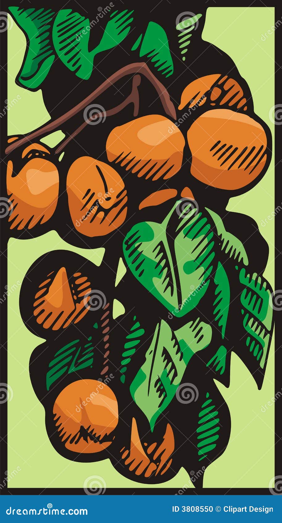 Fruit illustration series stock vector. Illustration of dessert - 3808550