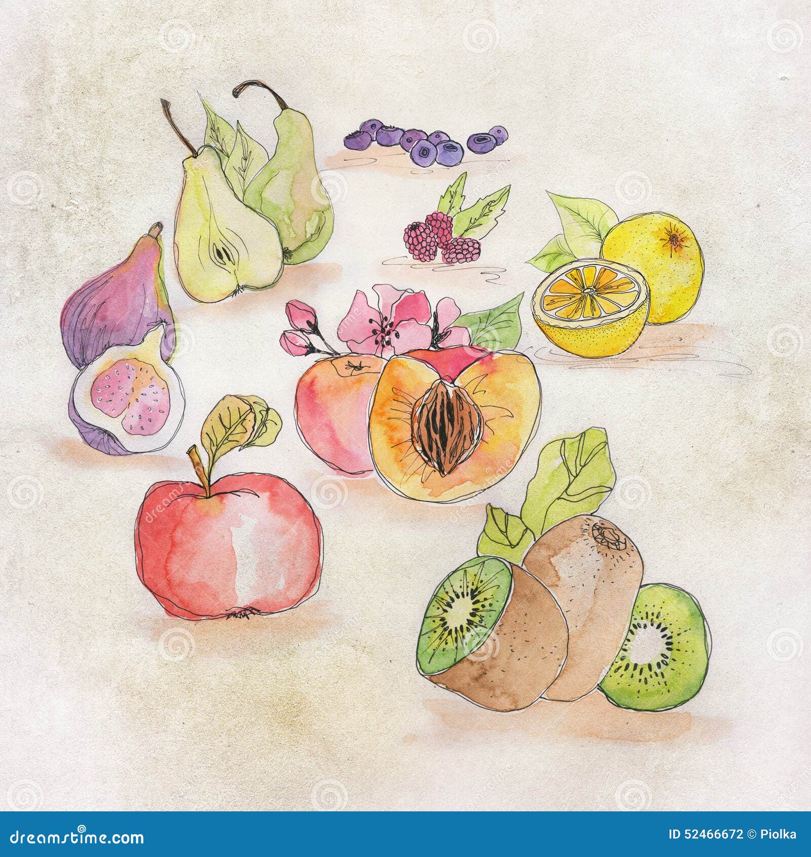 Fruit Illustration with Watercolor Stock Illustration - Illustration of ...