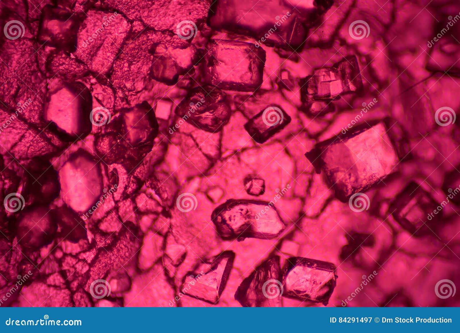 Fruit Jelly Under the Microscope. Stock Image - Image of jelly, sugar ...