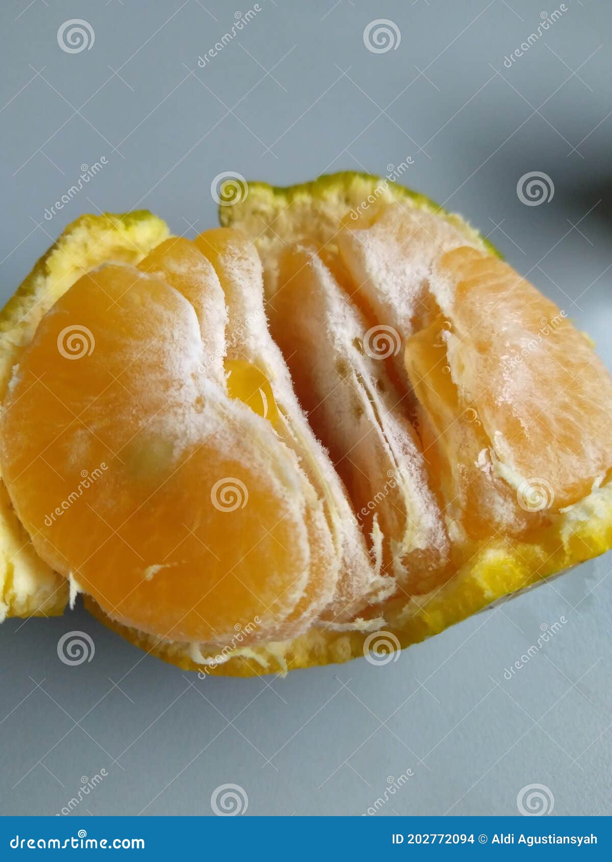 Fruit Jeruk Take View Photo Stock Photo - Image of plant, berry: 202772094