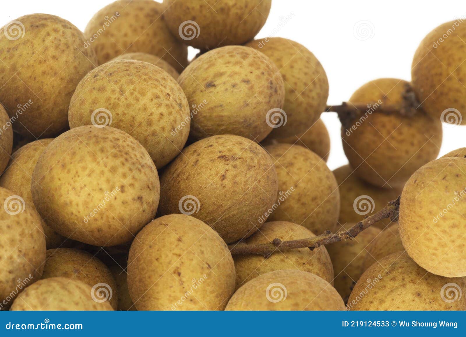 Fruit Kingdom, Taiwan, Summer, Fruit, Dimocarpus Longan Stock Image ...
