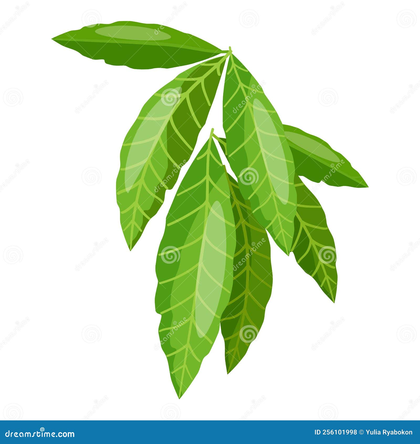 Fruit Leaves Icon Cartoon Vector. Summer Leaf Stock Vector ...