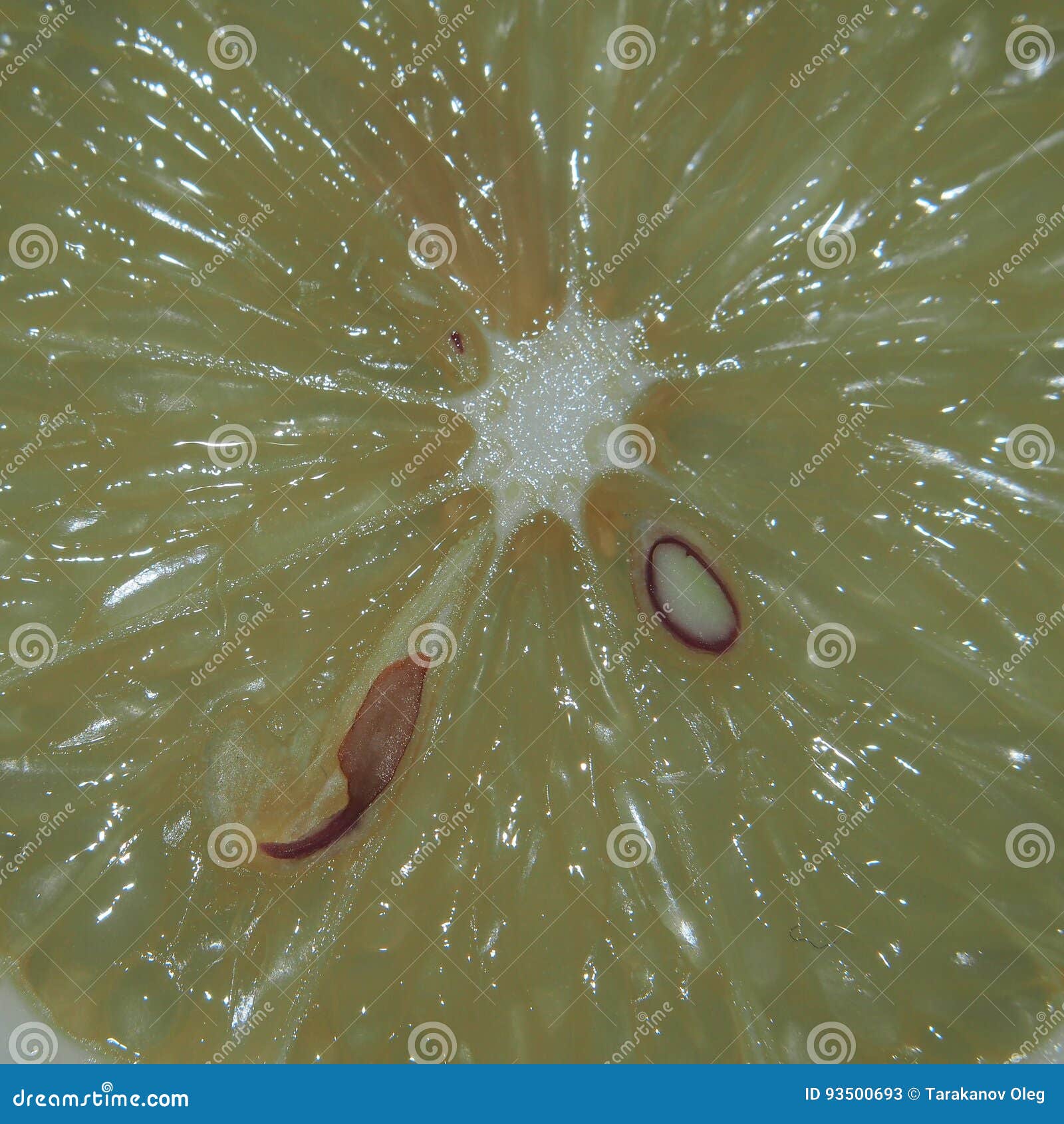 The Fruit of the Lemon in the Cut. the Pulp and Juice Stock Image ...