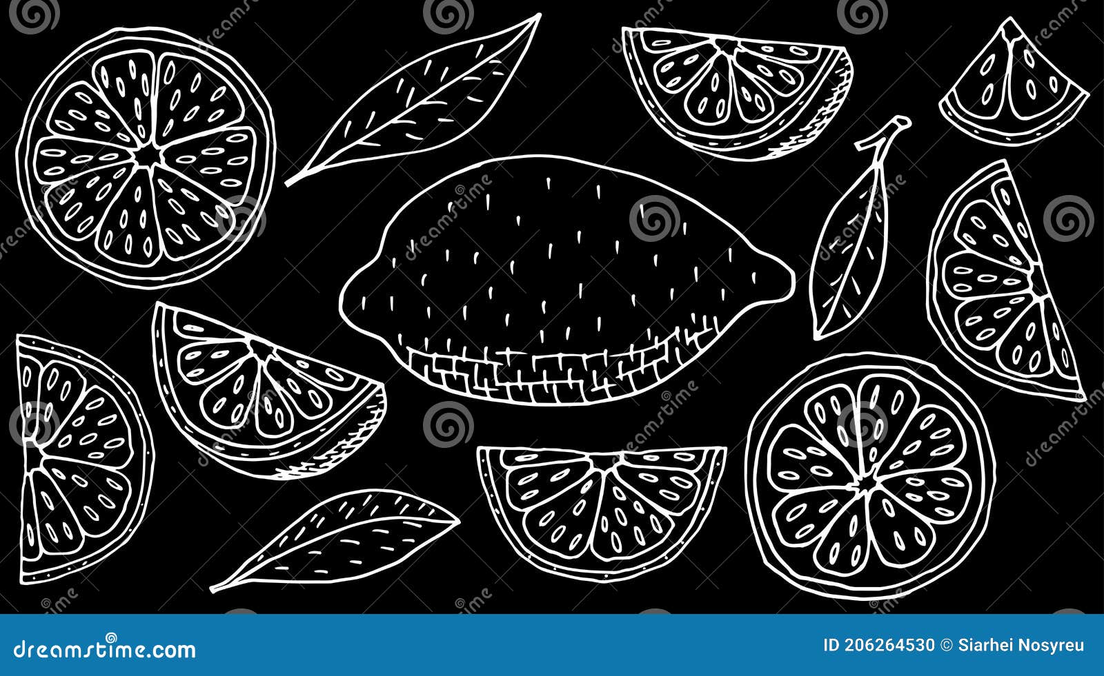 Lemon Hand Drawn Marker Illustration. Fruit Sketch. Realistic Citrus ...