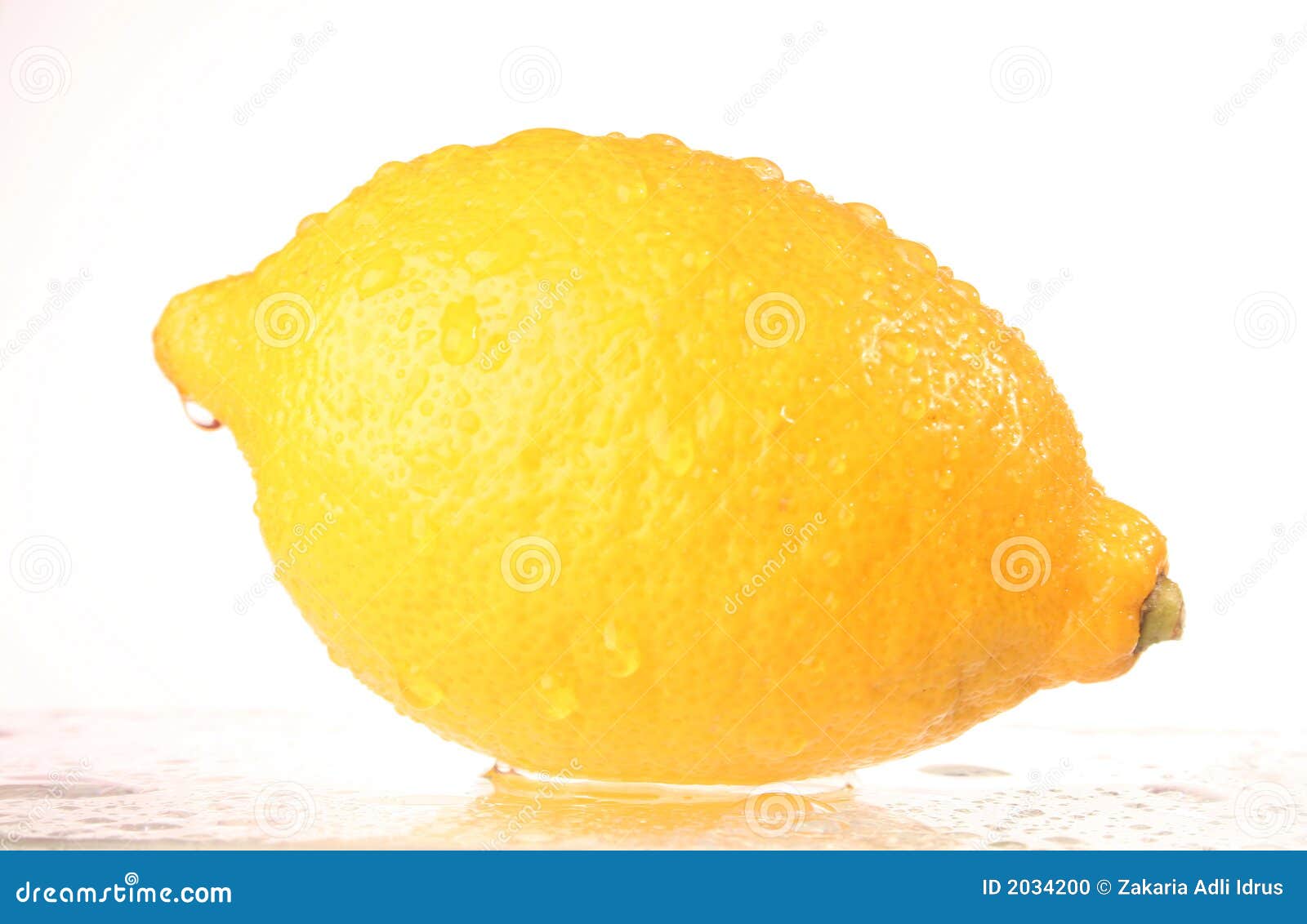 Fruit - Lemon isolated stock photo. Image of yellow, fruit - 2034200