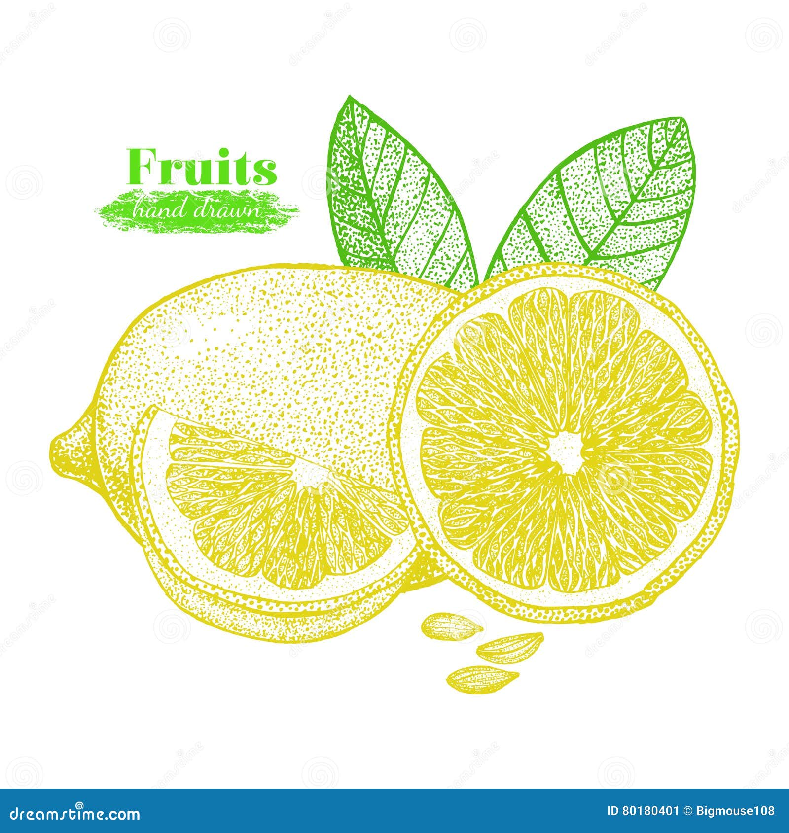Fruit Lemon with Leaf and Slice Hand Draw Sketch. Vector Stock Vector ...