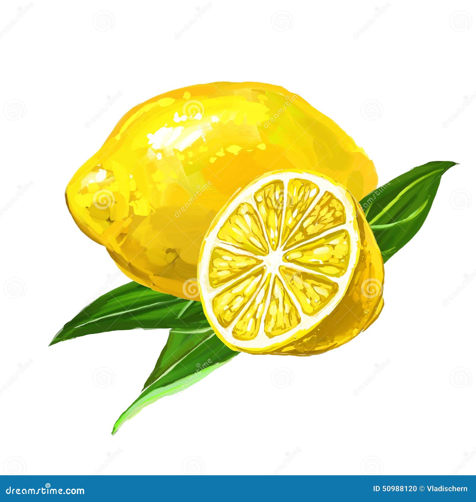 Lemon Vector Drawing. Summer Fruit Artistic Illustration ...