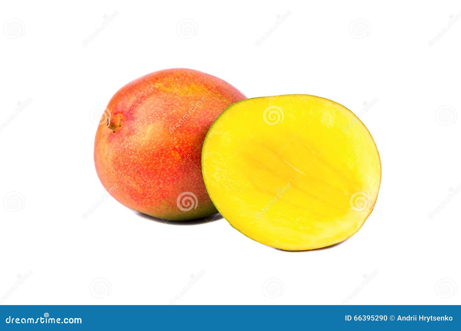 Fruit mango with half stock photo. Image of yellow, plant - 66395290