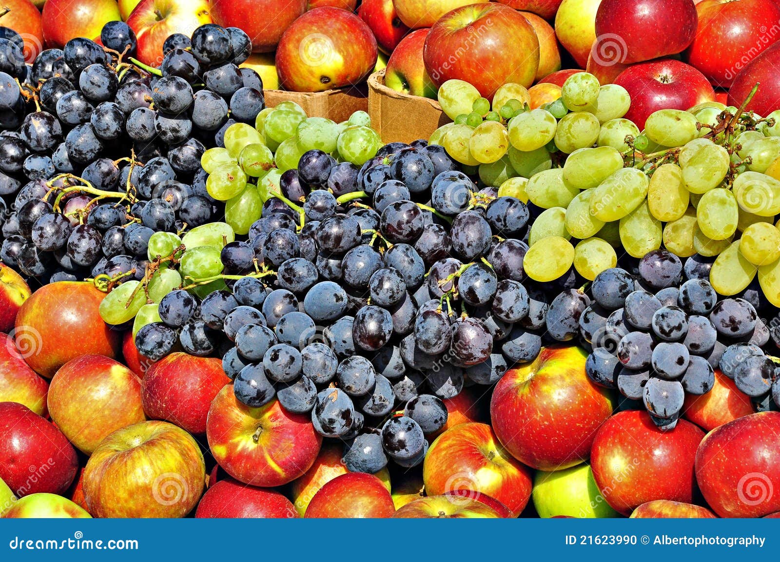 Fruit mix stock photo. Image of fruits, juicy, closeup - 21623990