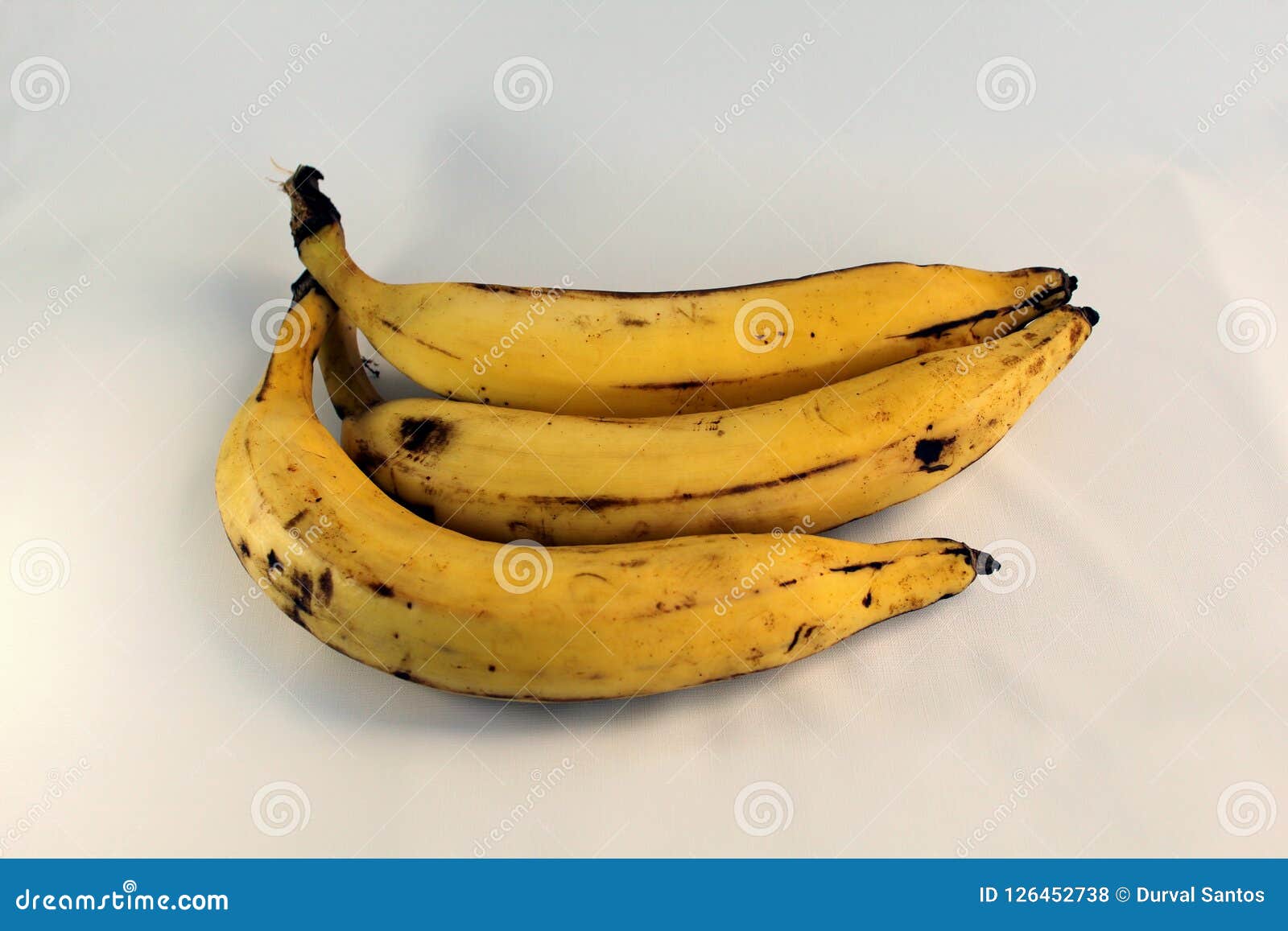Three bananas of the earth stock photo. Image of covered - 126452738