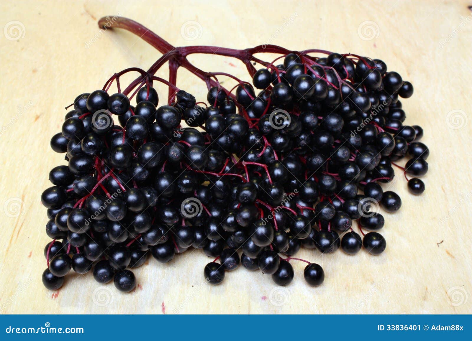 Fruit Noir De Baie De Sureau Image stock - Image du couleur, fruits ...