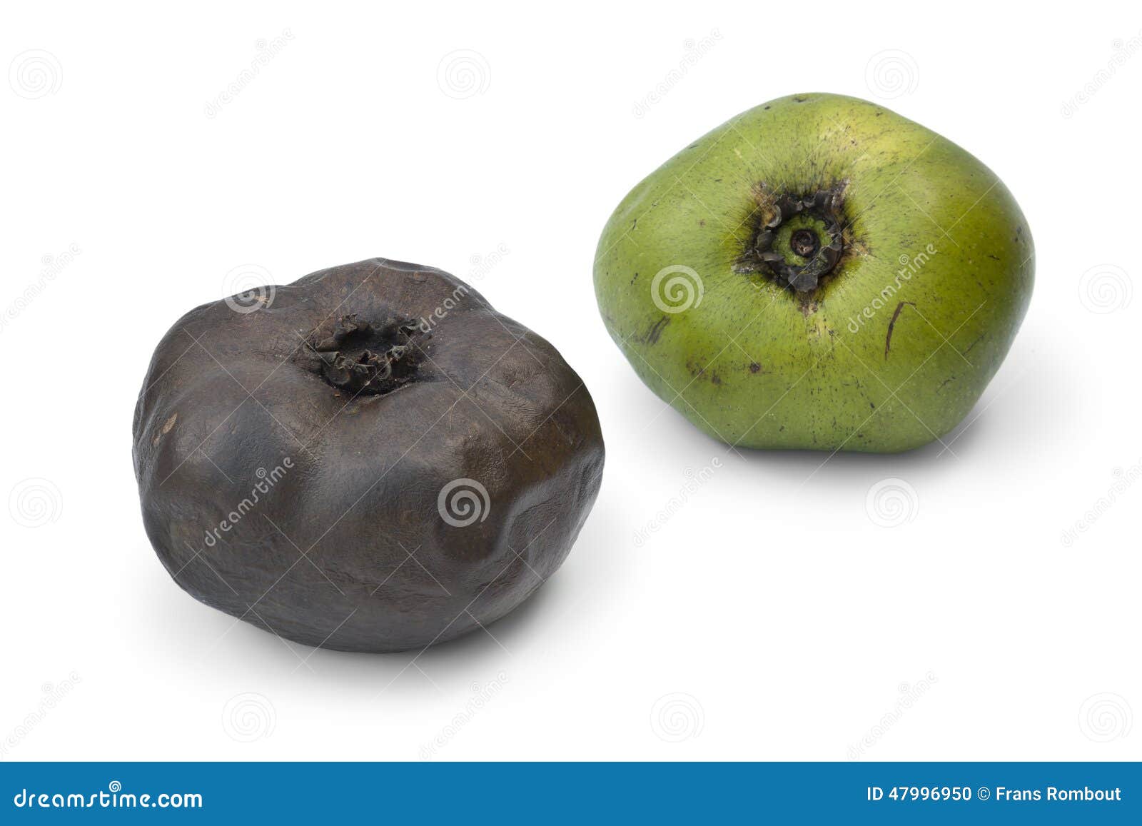 Fruit Noir Mûr Et Non Mûr De Sapote Photo stock - Image du chocolat ...