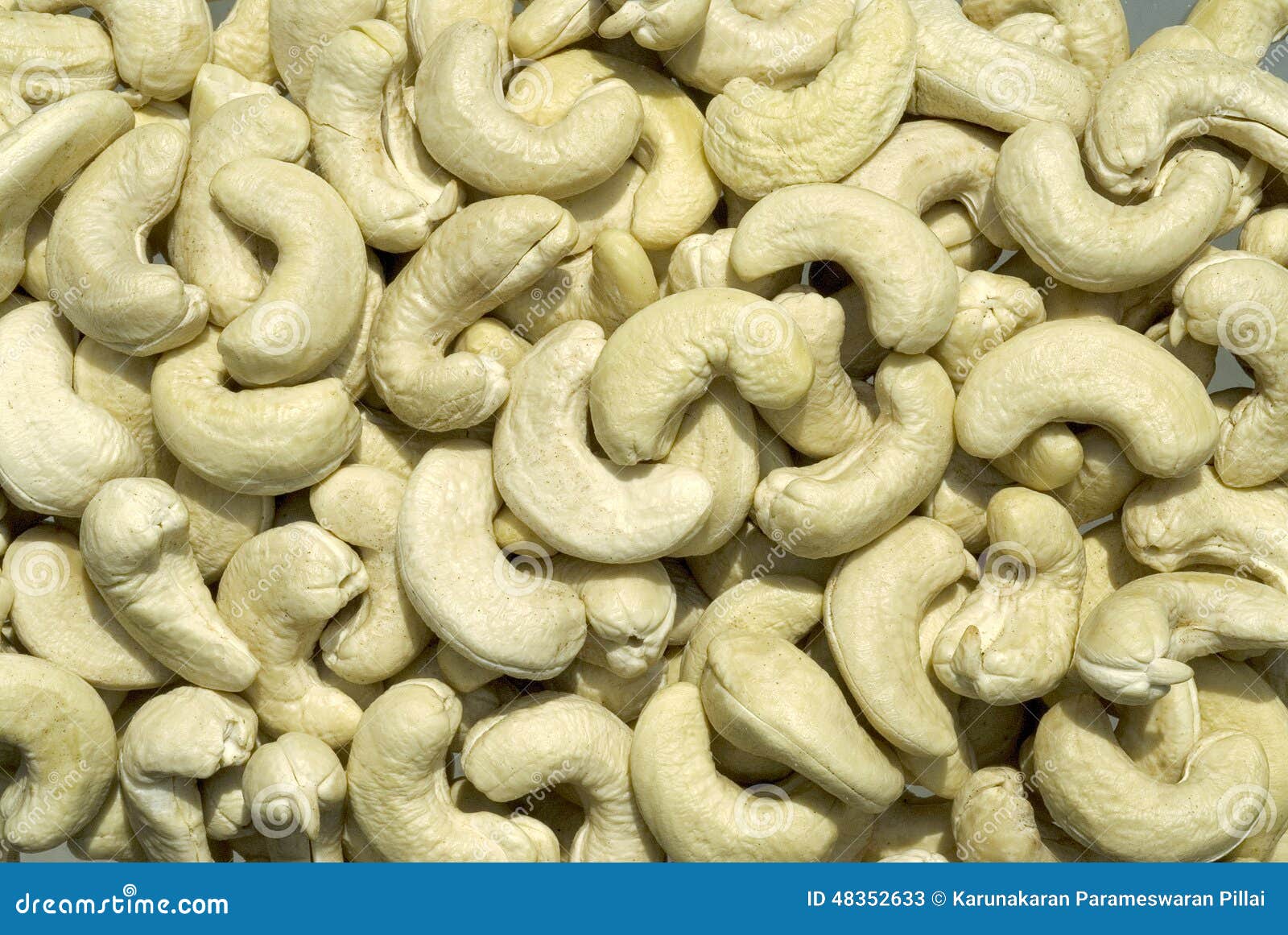 Fruit Noyau-sec De Noix De Cajou Image stock - Image du agriculture ...